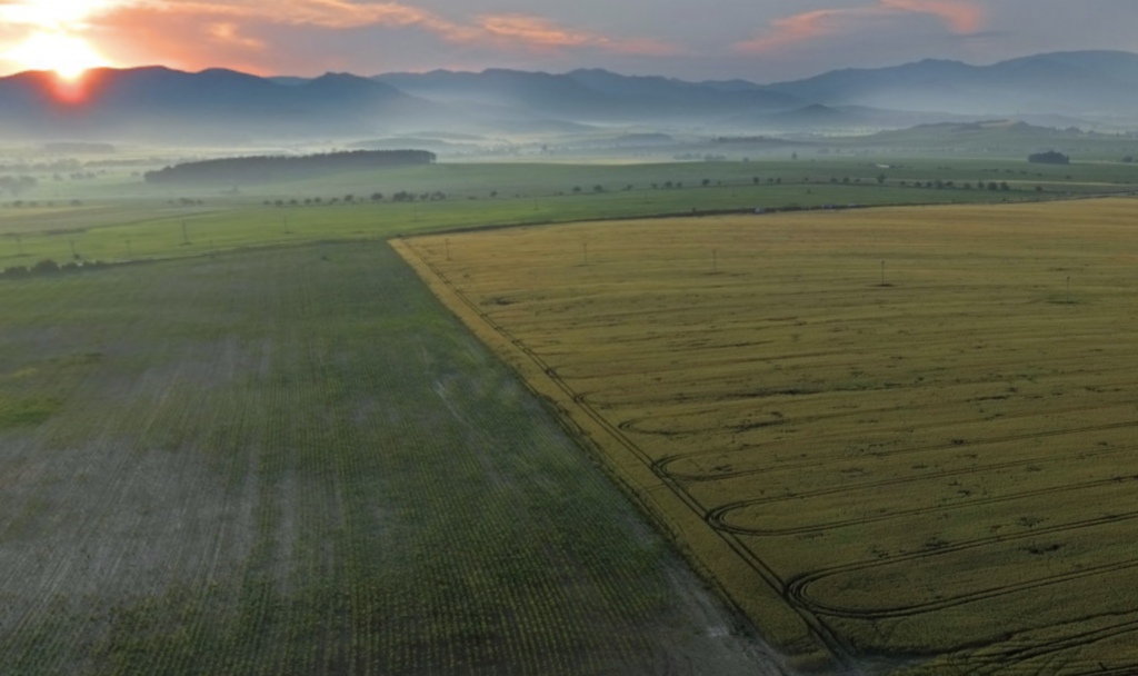 Rozprávke o tom, že niekto z Prahy má na srdci rozvoj slovenského ...